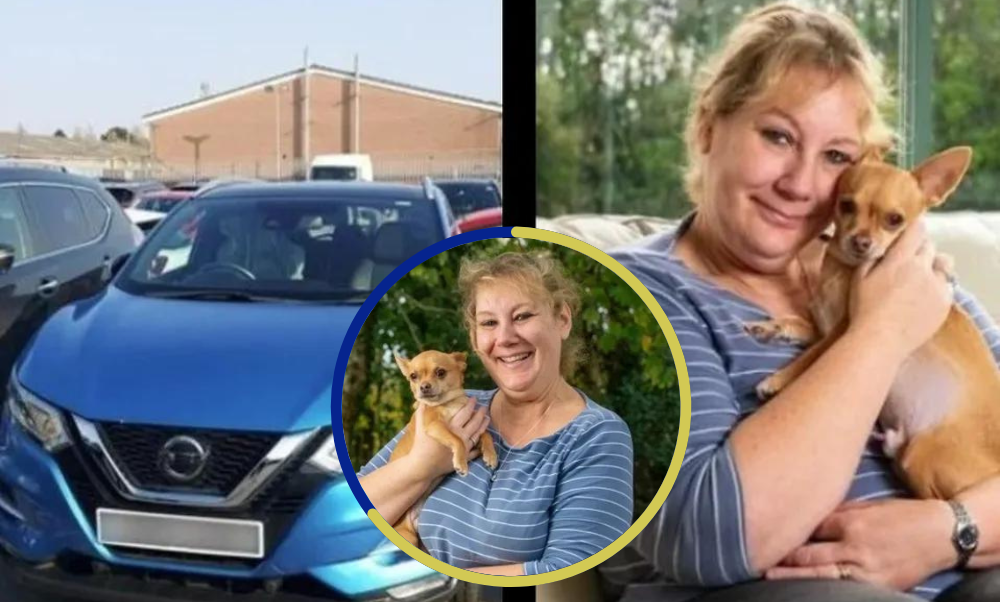 ¡Demuestra verdadero amor al salvarle la vida a su perrito! - HCH.TV